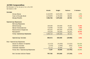 8 Types of P&L (Profit & Loss) / Income Statements